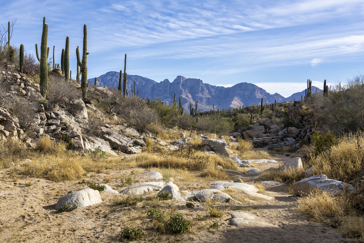 The 10 Best Hikes In and Around Oro Valley for Seniors - ILoveOV.com